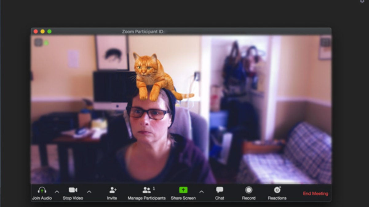 How to Use Snap Camera on Zoom in 3 Fast Steps - Softonic