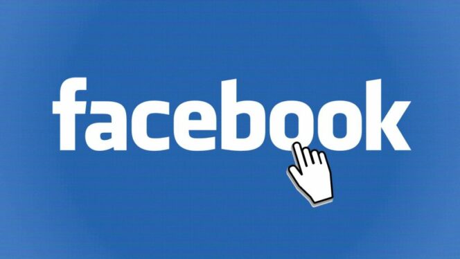 What Is a Facebook Video Downloader and How to Use It? - Softonic English