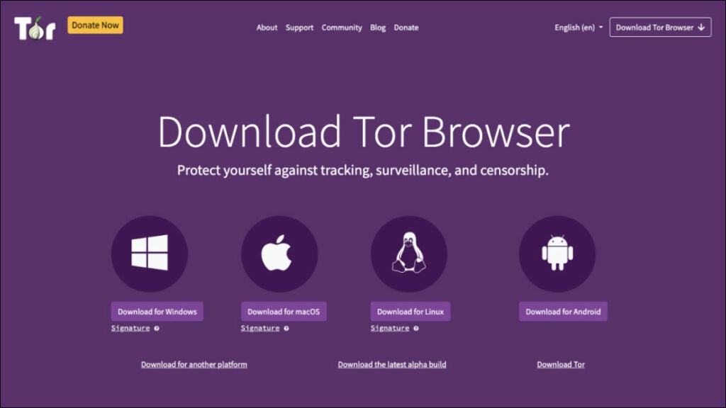 Google Chrome Alternatives: 7 Browsers You Should Consider - Softonic