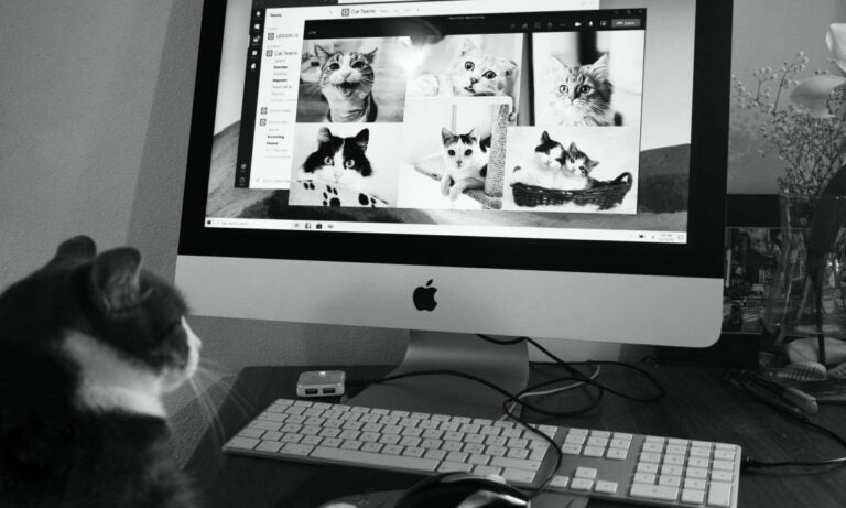 Microsoft Teams adds live translated transcripts for premium users ...