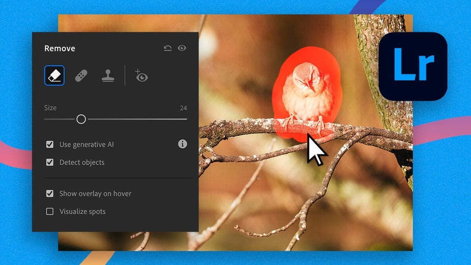Generative Removal: Effortlessly remove unwanted elements in Adobe ...