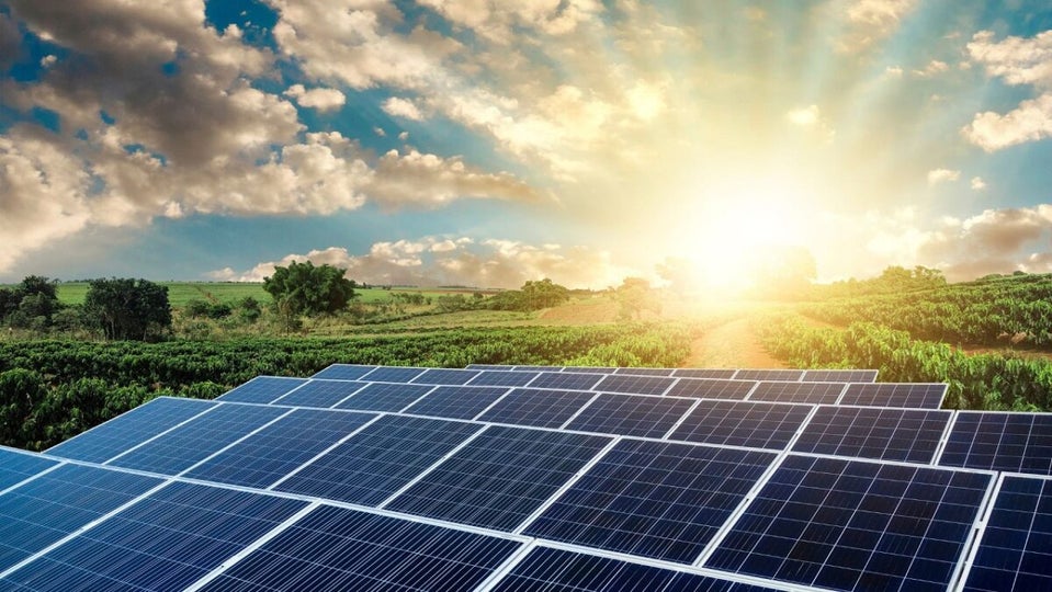 U.S. Solar Capacity Hits 50 Gigawatts in Historic 2024 Milestone - Softonic