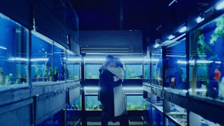 ArgusLab - Descargar