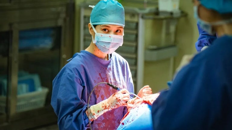 Zelscope - Descargar