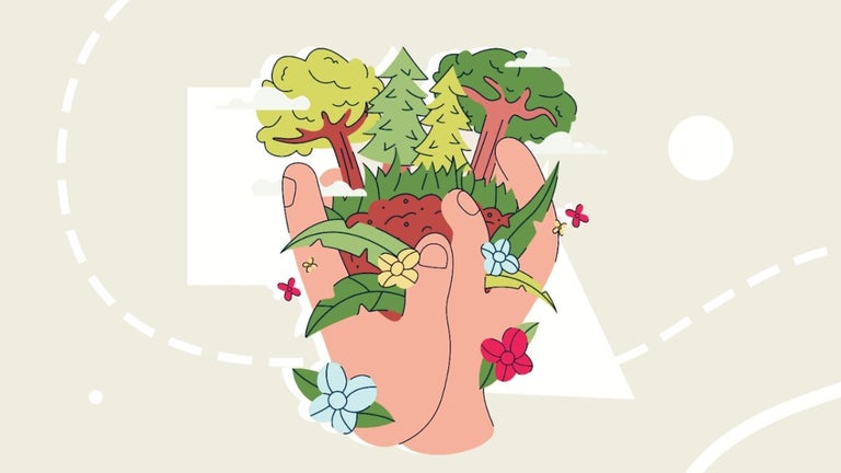 Do you want to know how climate change will affect your city? With this ...