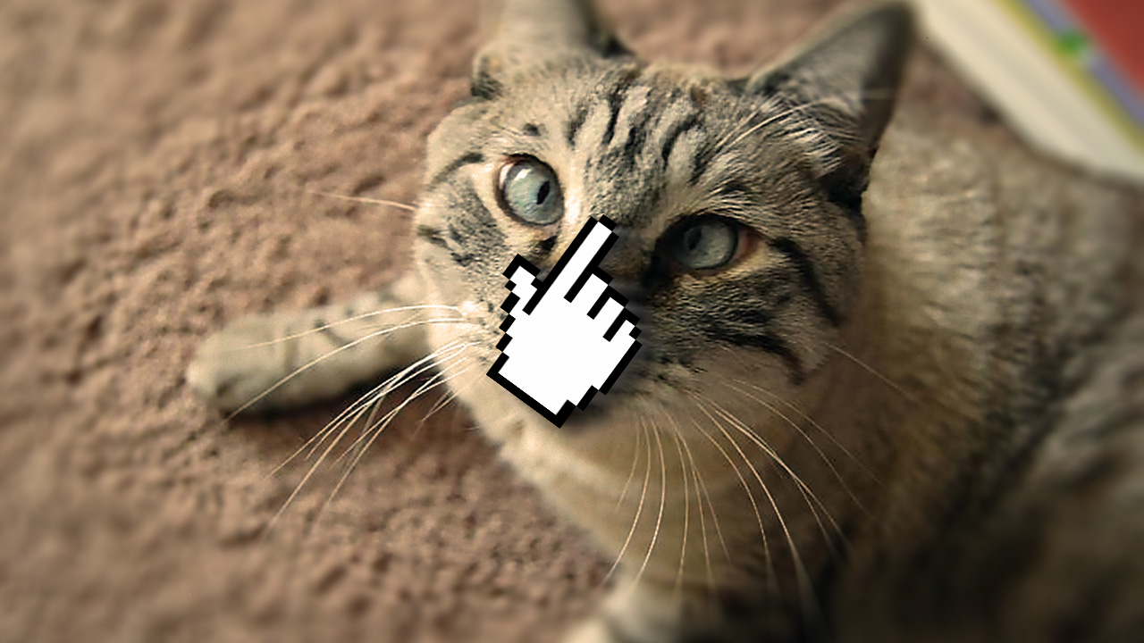 19 GIF informáticos que no te puedes perder - Softonic