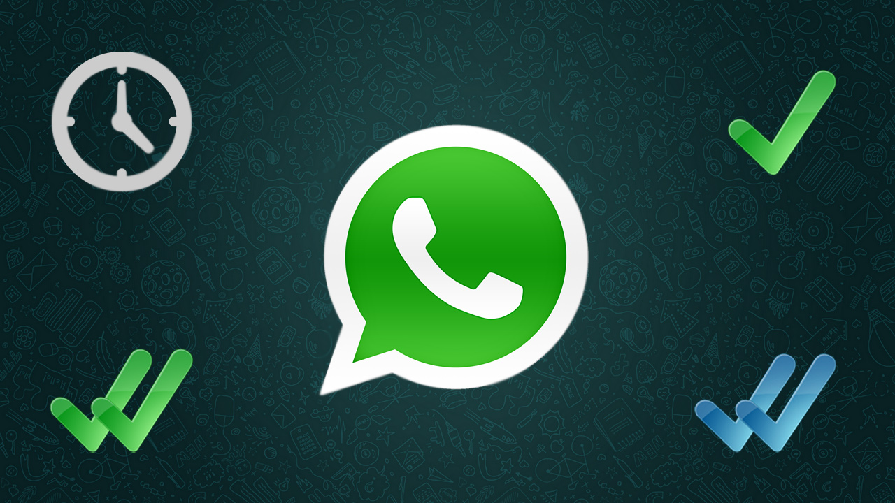WhatsApp: qué significan el doble check azul y otros iconos de estado - Softonic