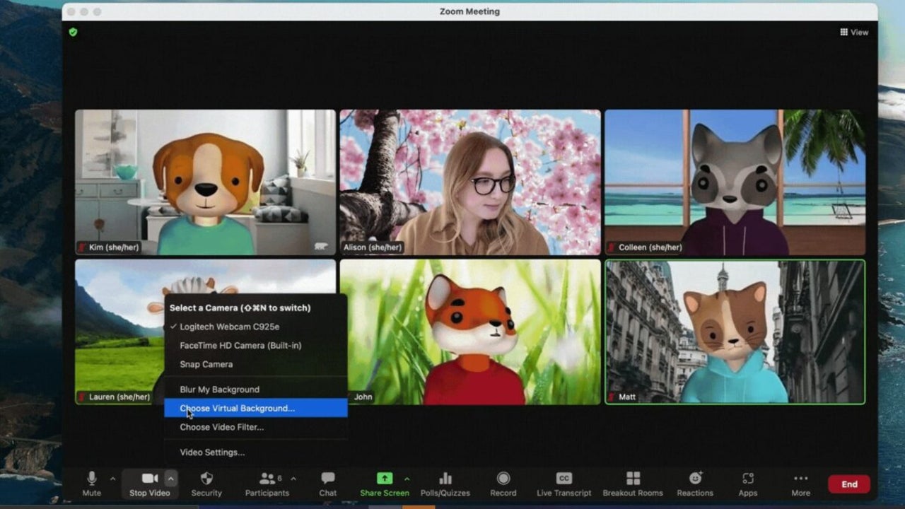 You can now don an animal avatar in Zoom meetings - Softonic