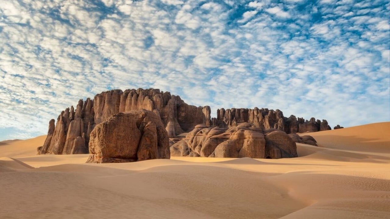 Unconventional Solution: MIT’s Century-Defining Invention Uses Diapers ...