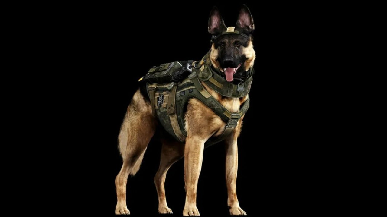Our best friend in the Call of Duty saga is back in Modern Warfare 3 ...