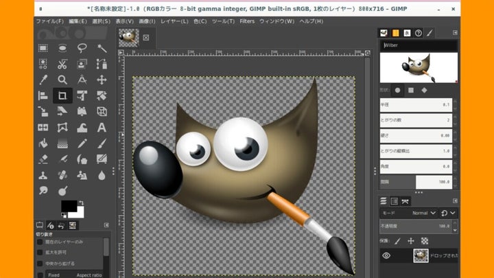 Visualiza las imágenes WebP en Windows 11 - Softonic