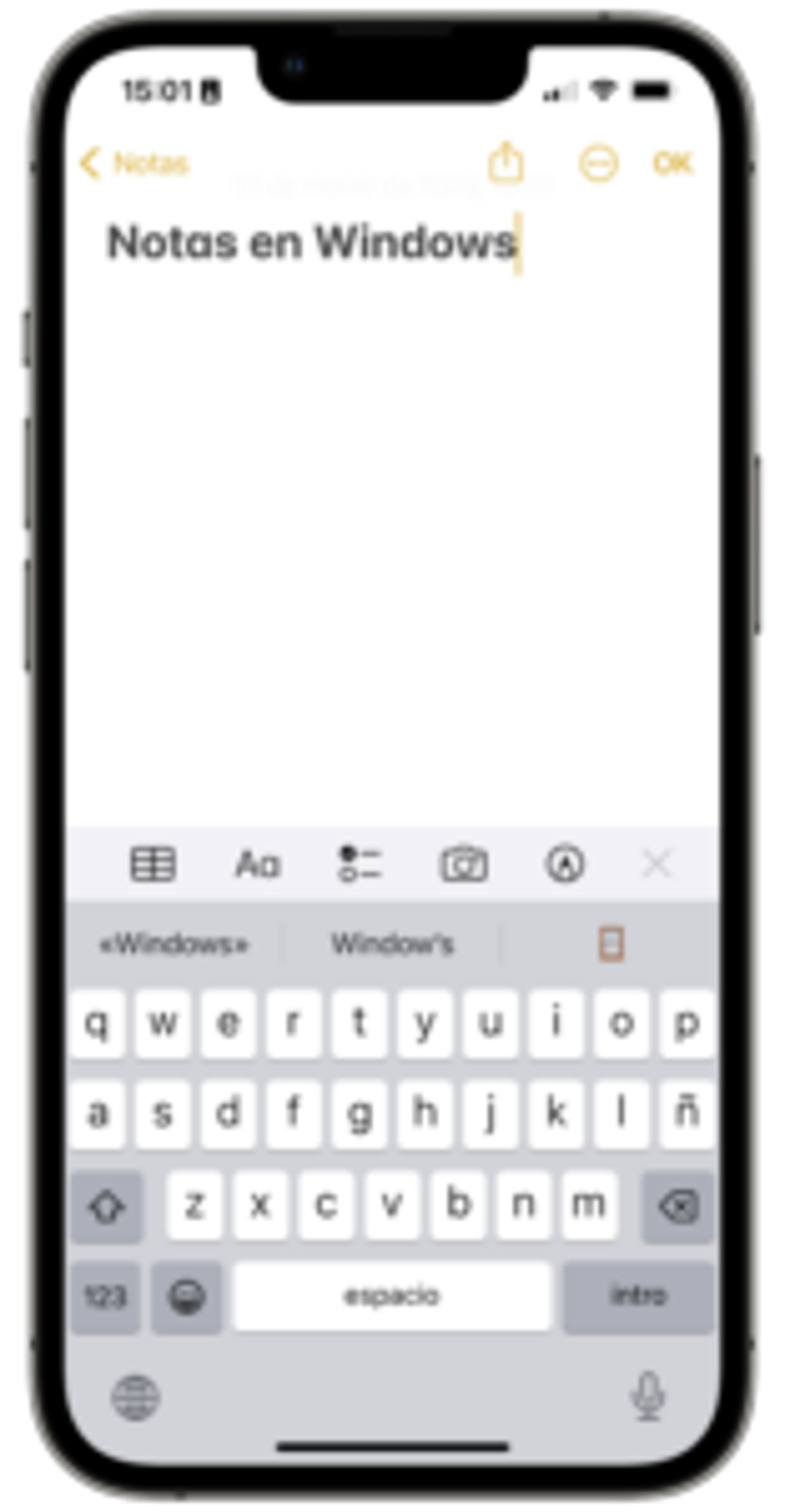 Cómo ver el contenido de Notas de nuestro iPhone en un PC con Windows ...