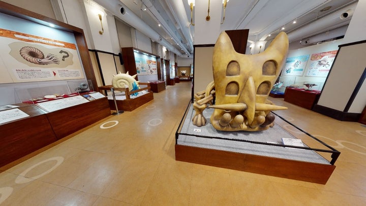 Tour the Japanese Pokémon Fossil Museum, even if you’re nowhere near ...