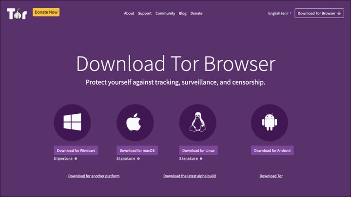 DuckDuckGo Alternatives: Search Engines and Private Browsers - Softonic
