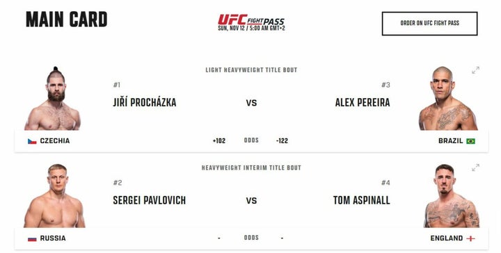 How to Watch UFC 295 Online This Weekend - Softonic