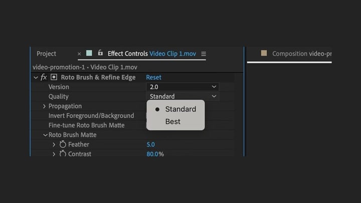Adobe After Effects: Rotoscope: Extract objects faster and more accurately - Softonic